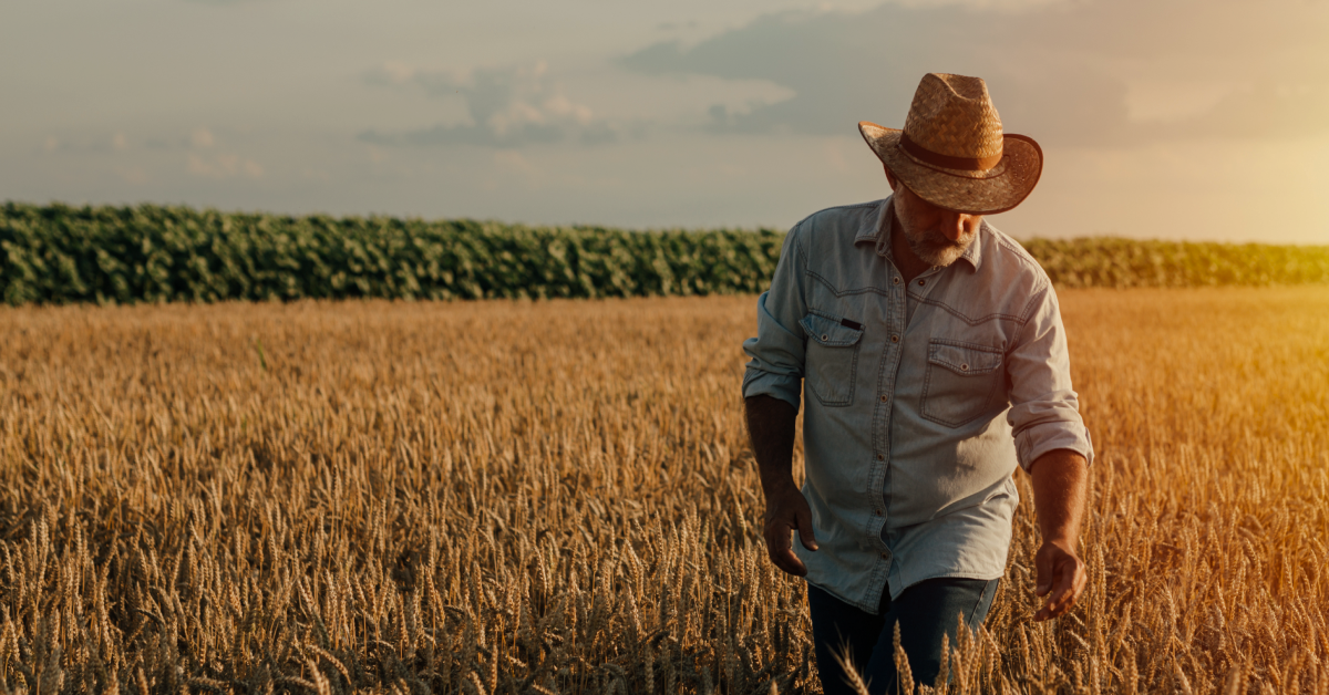 Modern Ag AllianceModern Ag Alliance | Insights